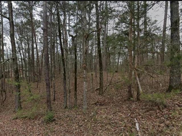 7410 Dewey Goodwin Rd Lot 0, Pinson, AL 35126