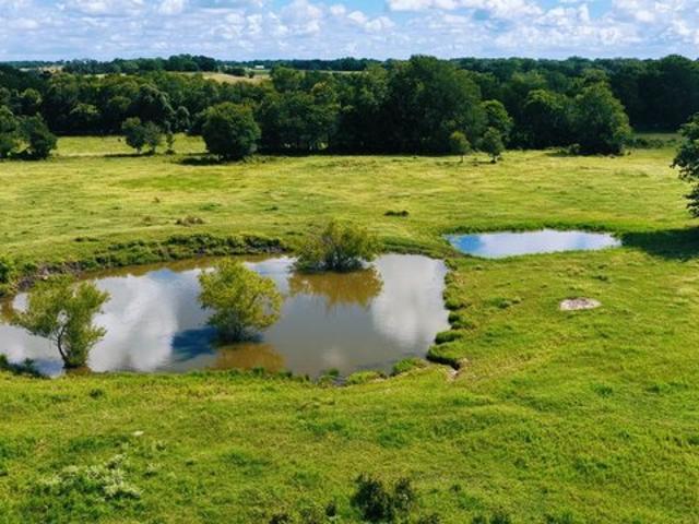 7410 FM 1295, Moulton, TX 77975