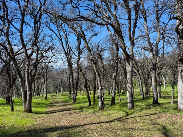 7411 Riverbend Dr, Placerville, CA 95667 | MLS #226021 | Compass
