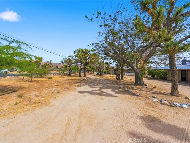 7425 Joshua View