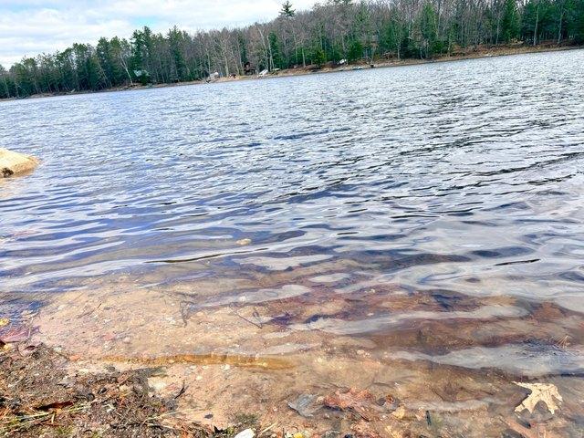 7422 Clear Lake Rd, Rhinelander, WI 54501