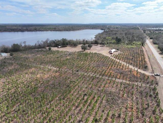 7423 Highway 374, Donalsonville, GA 39845