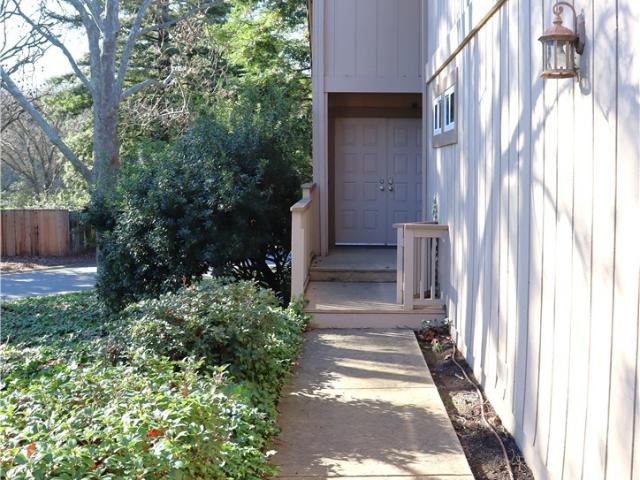 7423 Silver Birch