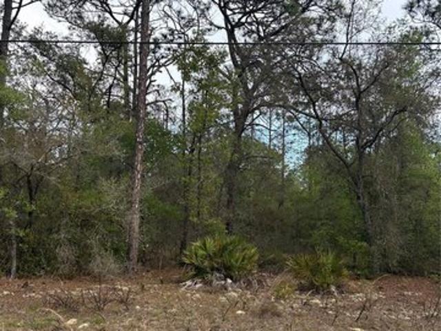 742 E Weldon Ln, Dunnellon, FL 34434
