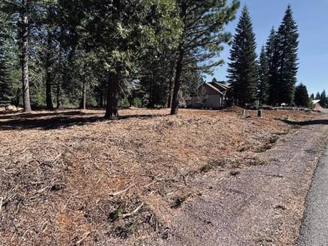 742 Red River Dr, Lake Almanor, CA 96137