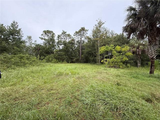 7435 W Lincoln Ln, Homosassa, FL 34448 | MLS #G5082