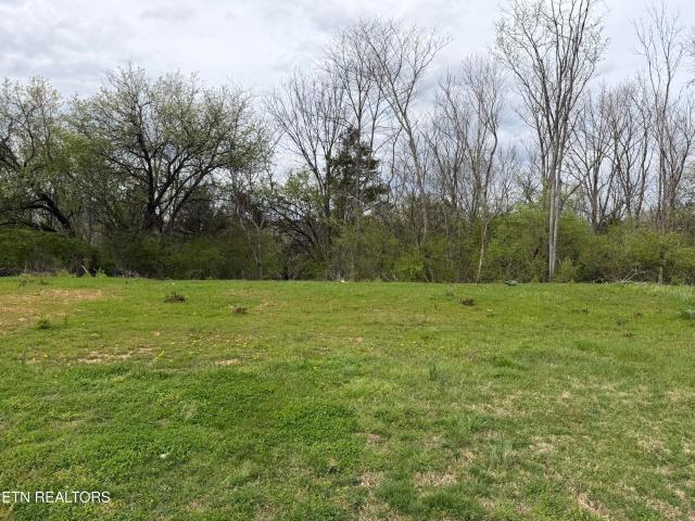 7430 Country Meadow Drive