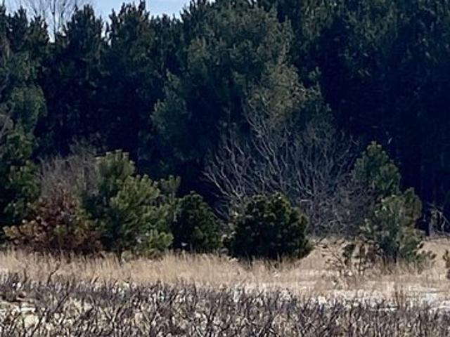 7430 Rapid City Rd NW Lot 1, Rapid City, MI 49676