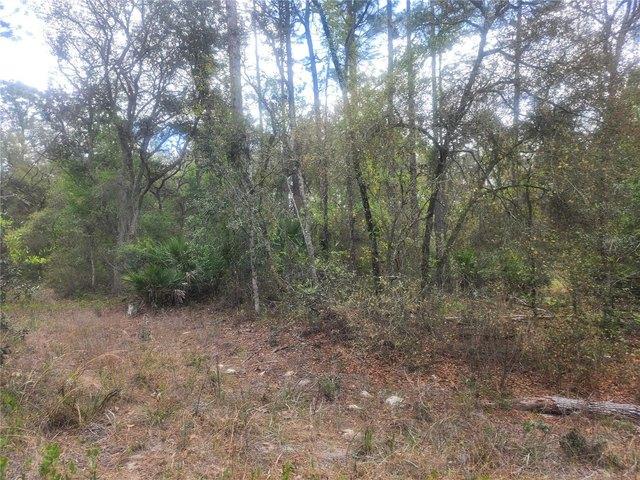 7446 SW 151st Pl, Dunnellon, FL 34432