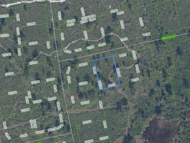 7448 Bresica Dr, Sebring, FL 33872