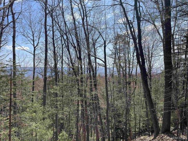 7448 Lake Bluff 19 4 Rd, Gladstone, MI 49837