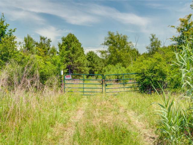 7443 County Road 302