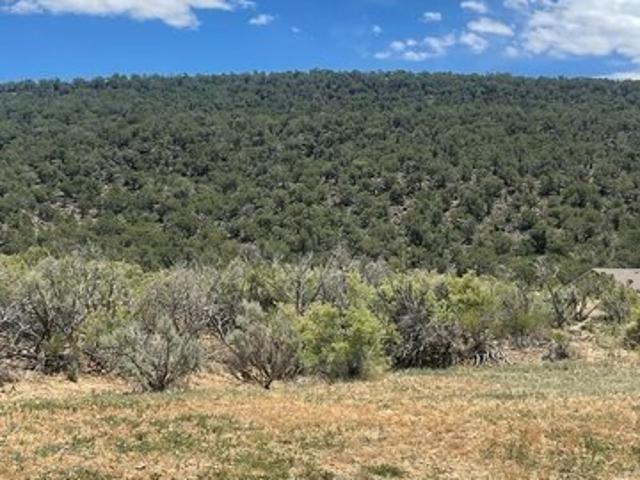 745 SE Pinyon St, Cedaredge, CO 81413
