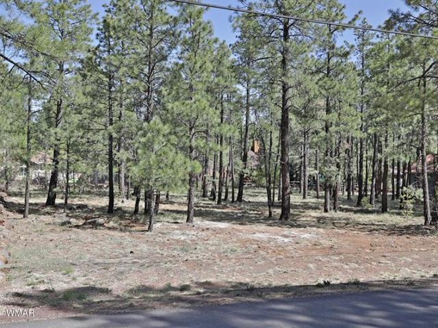 7466 Buck Springs Rd, Pinetop, AZ 85935