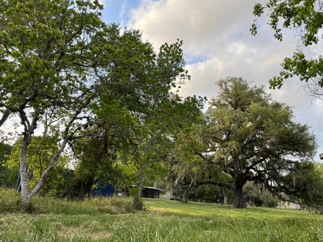 7462 County Road 284