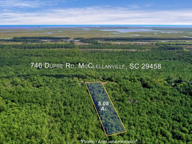 746 Dupre Rd, McClellanville, SC 29458 | MLS #25029