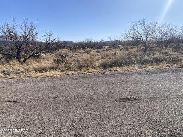 7471 W Lost Silver Ln W Unit 171, Sahuarita, AZ 85629