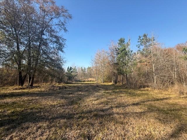 747 County Road 3556