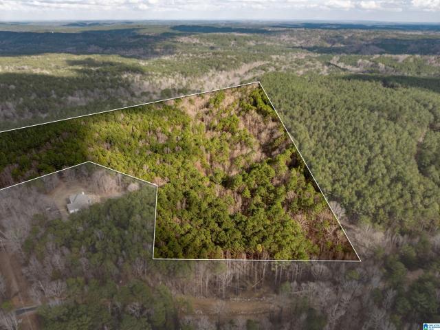 747 Alliance Road # 1