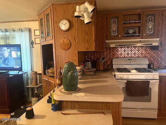747 E Germann Road # 62