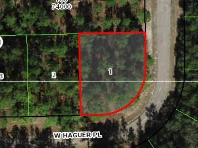 747 W Haguer Cir, Citrus Springs, FL 34434