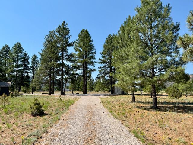 747 Timberlake Road