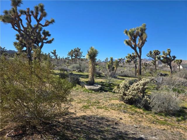 7484 Palm, Yucca Valley, CA 92284 | MLS #JT26006