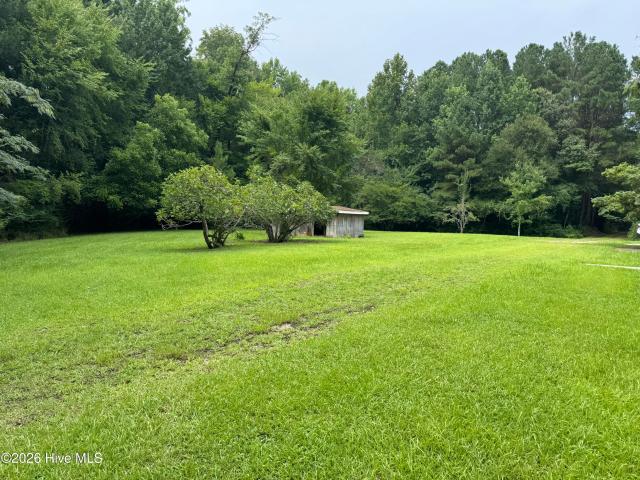 748 Alligator Creek Road