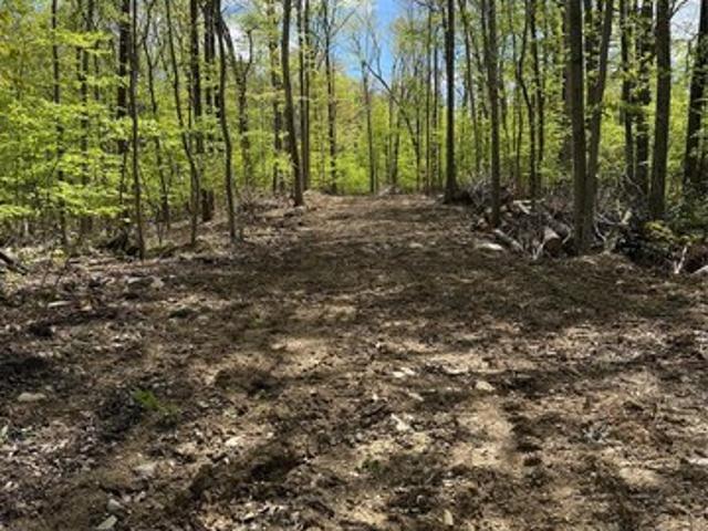 748 State Route 44 55, Highland, NY 12528