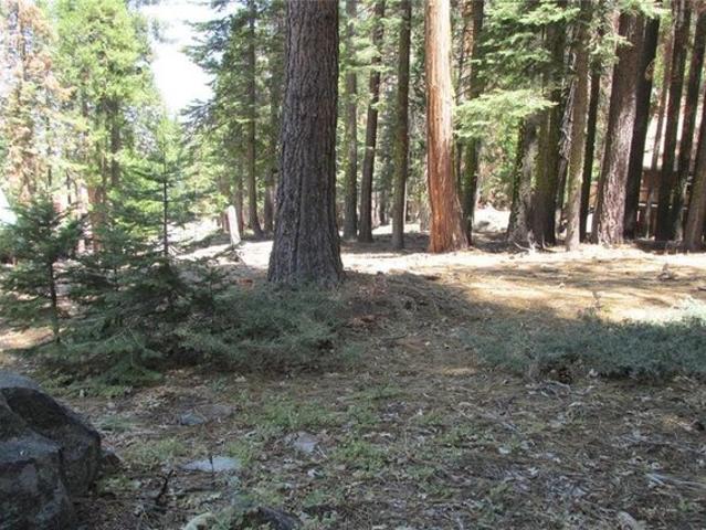 7497 Henness Cir, Yosemite West, CA 95389