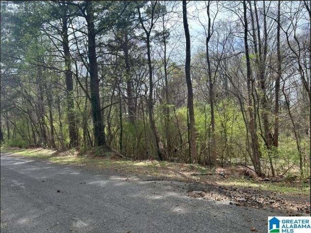 749 7Th Street Se # 8.83 Acres