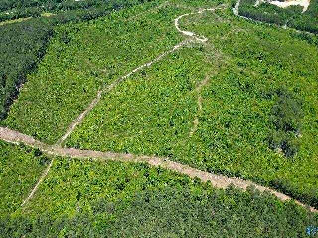 74 ACRES Bethel Road
