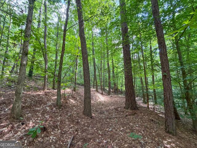 74 +/ Acres on Raccoon Road