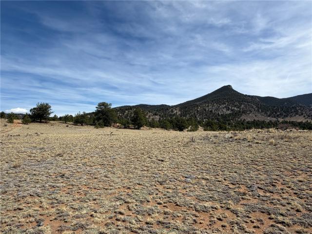 74 Craig Ln, Lake George, CO 80827 | MLS #S1067