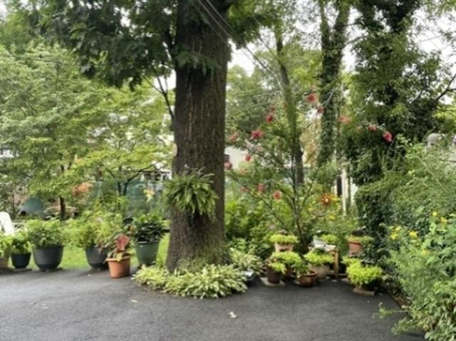74 Forest St # 1