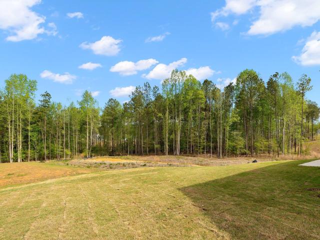 74 S Blue Sly Trl, Unit 37, Selma, NC 27576 | MLS #10137