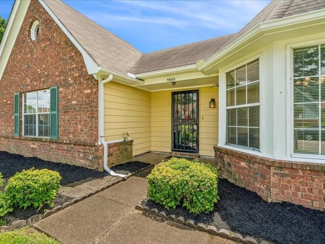 7503 appling estate dr