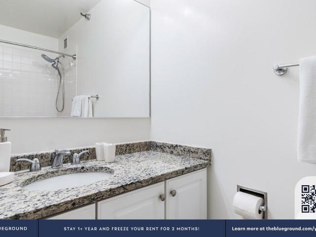 750 North Rush Street 1 Bedroom Apartment for Rent at 750 N Rush St #86, Chicago, IL 60611 Near North Side
