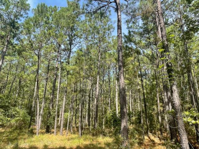 750 Private Road 8551