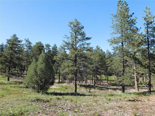 7514 Seminole Dr, Larkspur, CO 80118
