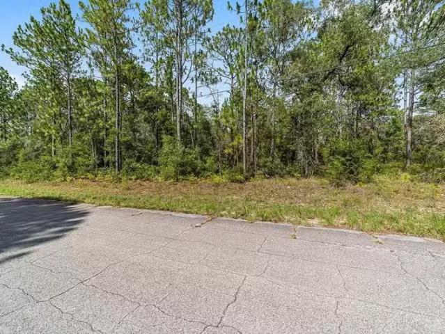 7515 N Windbrook Dr, Citrus Springs, FL 34433 MLS T3535431