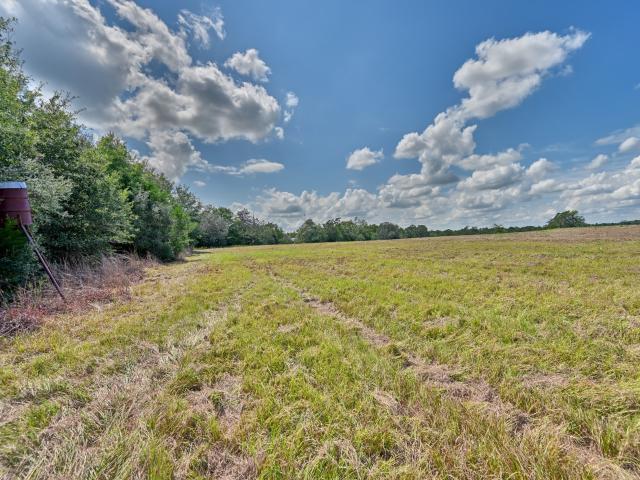 7515 Shelby Rd, Burton, TX 77835 | MLS #72092