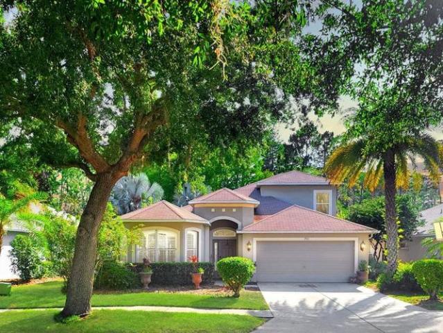 7511 Citrus Blossom Dr, Land O Lakes, FL 34637