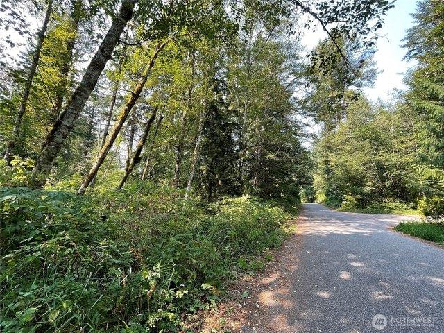 7521 Olsen Dr Lot 2, Glacier, WA 98244