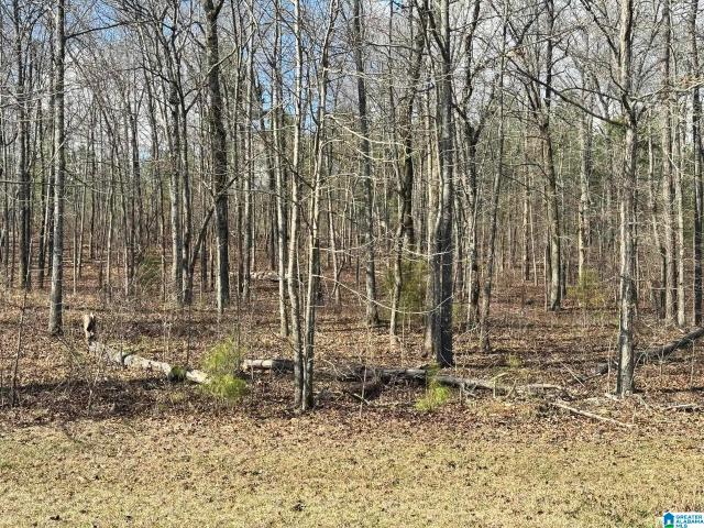7533 Colonial Trace Circle # 24
