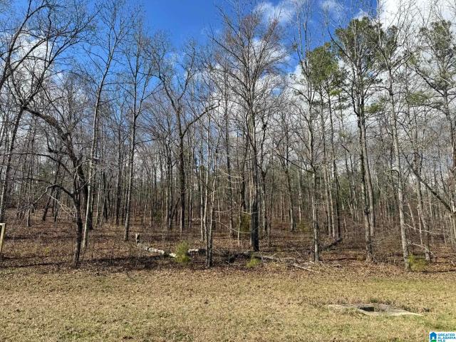 7533 Colonial Trace Circle # 24