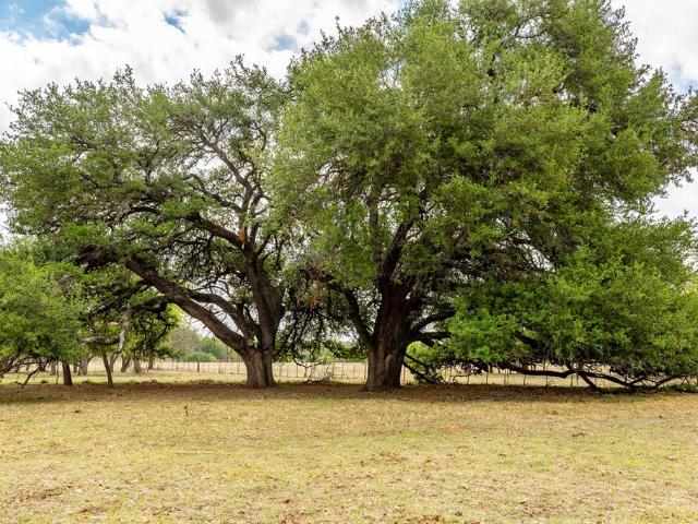 753 Lonesome Trail, Fredericksburg, TX 78624 | MLS #99021 | Compass