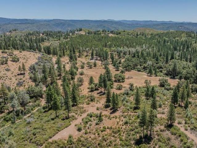 7559 Alamo Rd, Mountain Ranch, CA 95246
