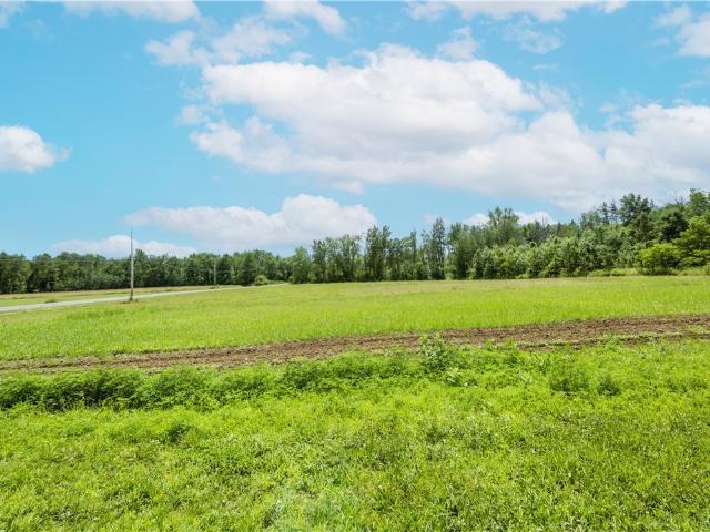 7550 Collamer Rd, Manlius, NY 13057 | MLS #S1697