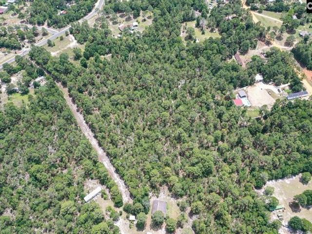 755 Bush Berry Rd, Pelion, SC 29123
